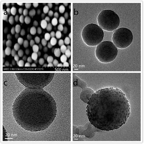 SEM Images A SiO TEM Images B SiO C SiO EuTTA And Download Scientific