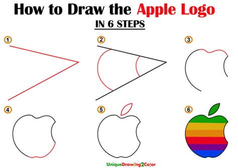 how to draw the apple logo in 6 steps