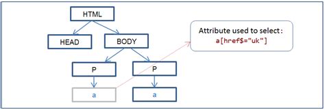 CSS Attribute Selectors Explained With Example And DOM Tree