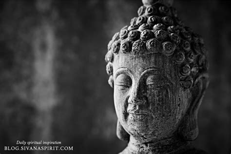 30 famous buddha quotes on life spirituality and mindfulness artofit