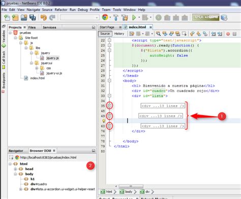 trabajando con netbeans html5 css3 y javascript