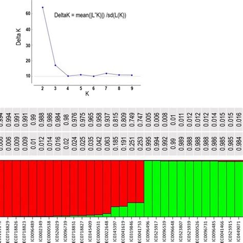 Model Based Clustering Of 34 Linseed Accessions Based On Ssr Data In