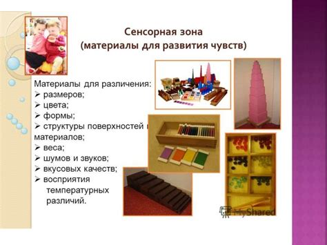 Сенсорное развитие детей раннего возраста Online Presentation