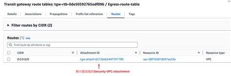 利用 Transit Gateway 和 Gateway Load Balancer 实现东西及南北流量的集中检测 亚马逊aws官方博客