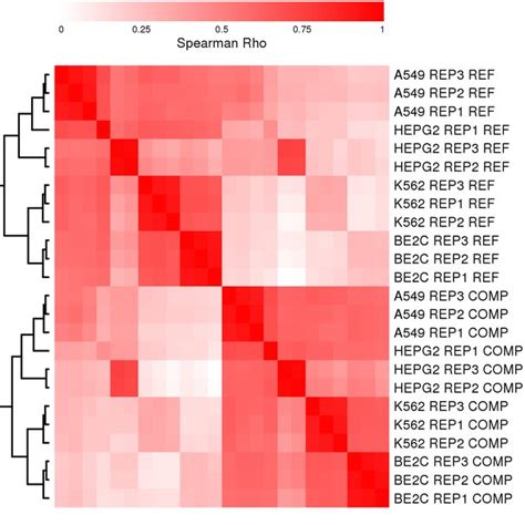 Clustering Of MPRA Signal By Strand Hierarchical Clustering Of