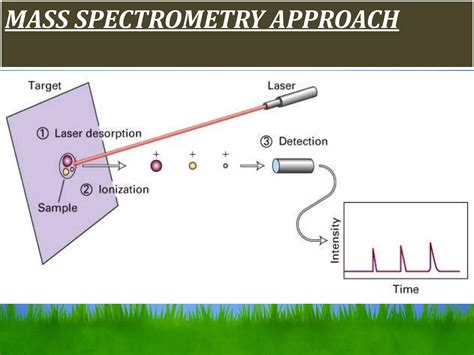 Functional Proteomics Methods And Tools Pptx