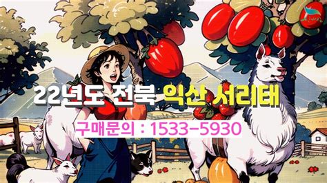 신바람 농산물 협력농가 판매상품 1533 5930 4월 할인판매 진행중 산지직발송 2022년 햇 전북 익산 서리태 판매