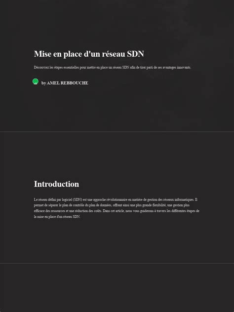 Mise En Place Dun Reseau Sdn Pdf Informatique Informatique