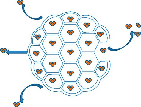 Doxil Semantic Scholar