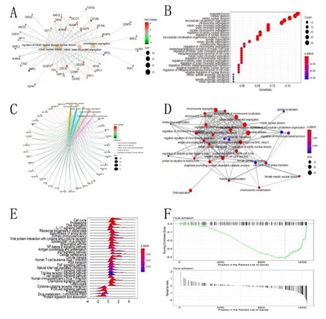 Genes In The Magenta Module Were Analyzed By Go Using Clusterprofiler Download Scientific