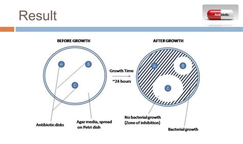 Antibiotic Sensitivity Testing Ast Pptx