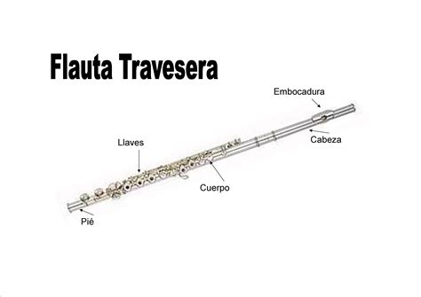 Las Partes Clave De Una Flauta Y Su Función Guía Completa Onkyh