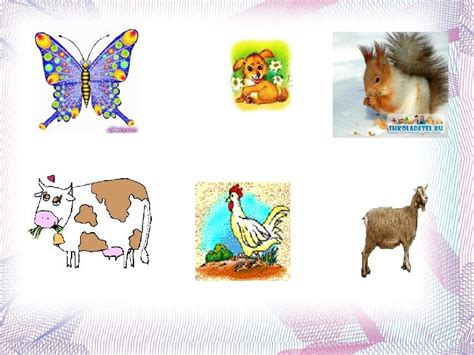 тэжээмэл амьтад