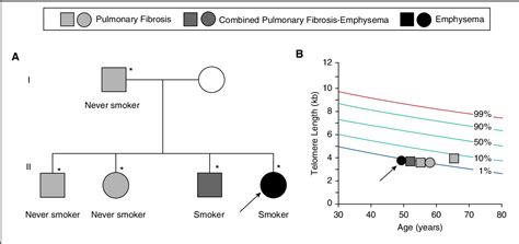 Figure 1 From Telomerase And The Genetics Of Emphysema Susceptibility Implications For