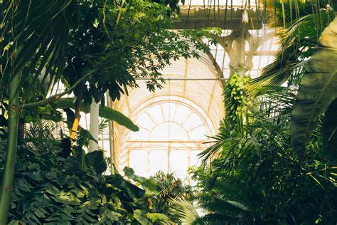 Kew Gardens London Official Tickets 2024 Top Botanical Garden