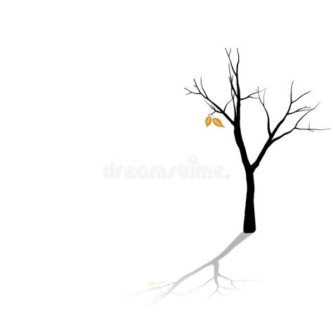 Tree Losing Its Leaves Stock Illustrations Tree Losing Its Leaves Stock Illustrations