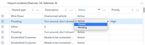 FeatureTable ArcGIS API For JavaScript