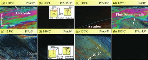Temperature Dependent Domain Structures Of Poled 001 C Pinpzpmnpt
