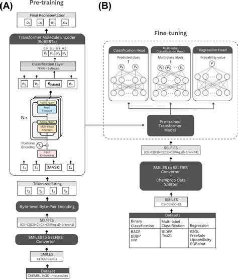 Selformer Molecular Representation Learning Via Selfies Language Models Paper And Code