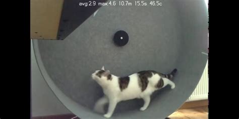 Catwheel — Raspberry Pi Official Magazine