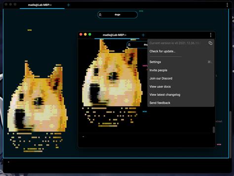 Colors Don T Seem To Work Issue Warpdotdev Warp GitHub