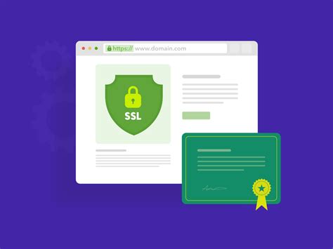 7 common types of ssl certificates for websites fullhost