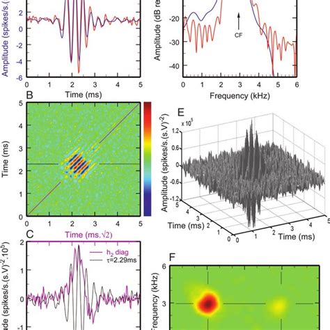 First And 2nd Order Wiener Kernels Of Low Cf Anfs Time Domain