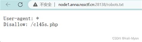 Swpuctf 2021 新生赛 Ezunserializectf Ezunserialize 空白页 Csdn博客