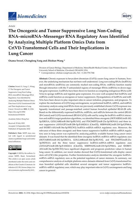 PDF The Oncogenic And Tumor Suppressive Long Non Coding RNAmicroRNAMessenger RNA Regulatory