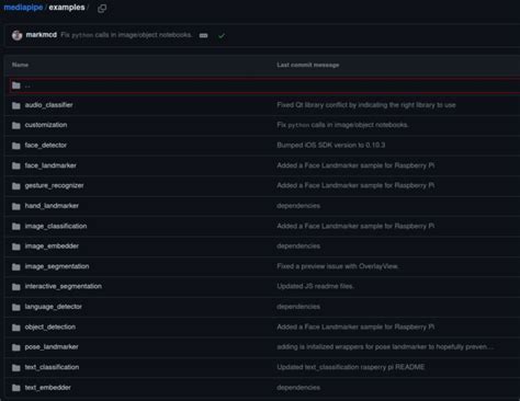 เปิดตัว Mediapipe สำหรับ Raspberry Pi โซลูชันด้าน Machine Learning บนอุปกรณ์แบบ No Codelow