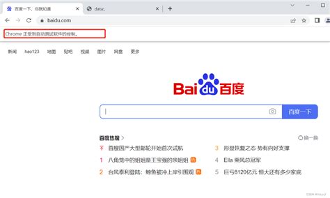 selenium java自动化测试详解 csdn博客