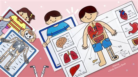 신비로운 우리 몸의 구조 책 만들기 💀 인체 모형 미술 활동지 책 만들기 문장 만들기 1학년 교실