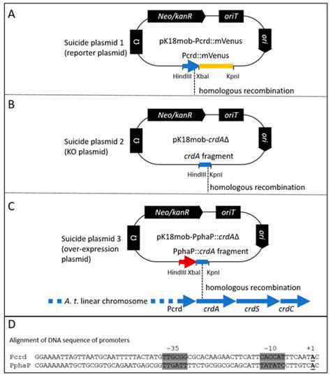 Microorganisms Special Issue Systems Metabolic Engineering Of