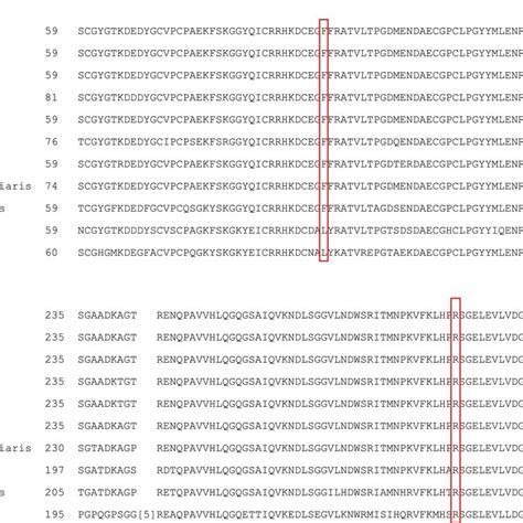 Multiple Sequence Alignments Of Human Edar A And Eda B With Their