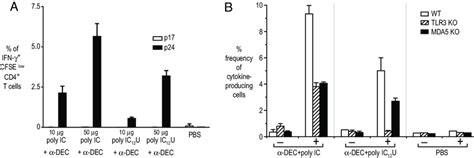Poly Ic12u Acts As An Adjuvant For Cd4 T Cell Immunity To Dec P24