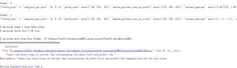 Problems With D U Net Cascade Issue MIC DKFZ NnUNet GitHub