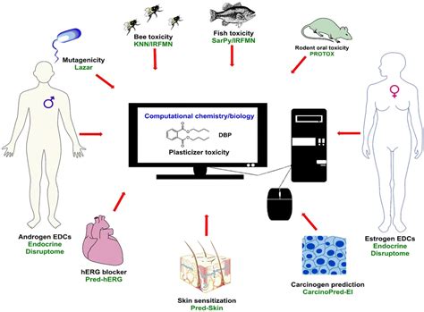 Predicting Toxicity Of Small And Medium Molecules Genspark