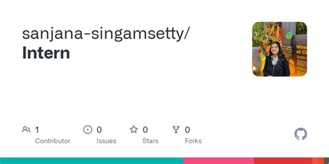 Github Sanjana Singamsettyintern