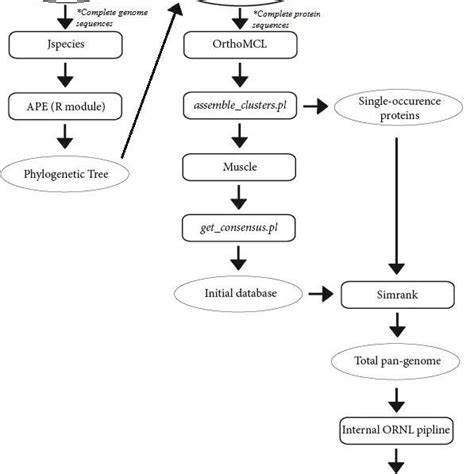 Outline Of The Pan Genome Assembly Workflow Shown Here Is The