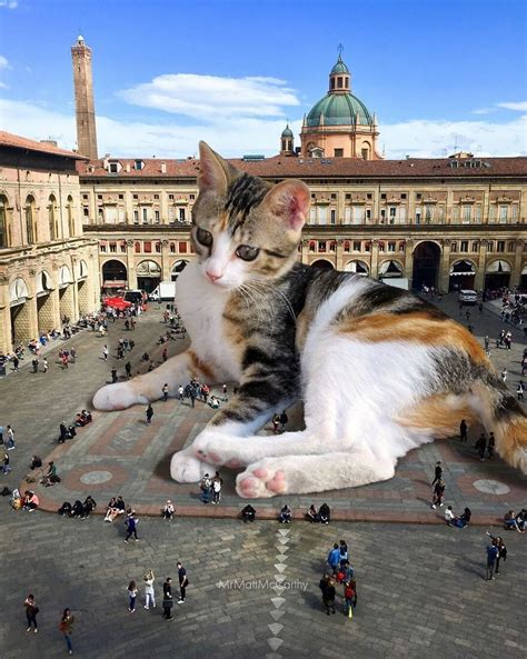 This Artist Uses Photoshop To Create Surreal Giant Cat Landscapes Here