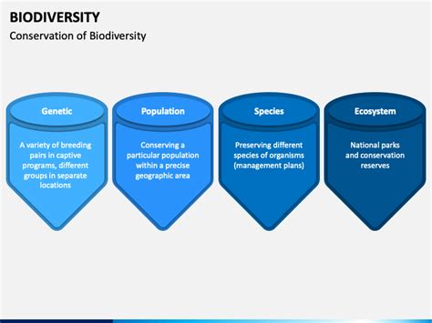 Biodiversity PowerPoint And Google Slides Template PPT Slides