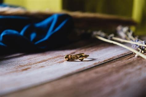 Premium Photo Close Up Of Bee On Wooden Table