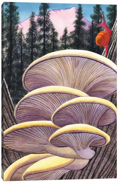 Catherine G Mcelroy Canvas Prints And Wall Art Icanvas