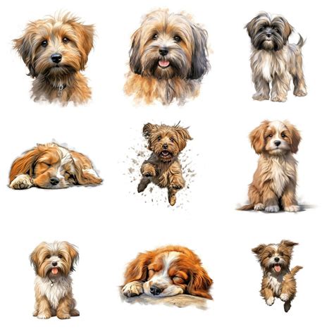 Dutch Smoushond Puppy Printable Dog Art 17 High Quality  Png