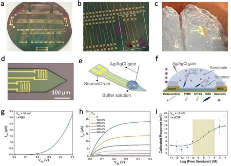 Flexible And Implantable Polyimide Aptamer Field Effect Transistor