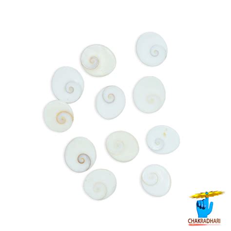 Gomti Chakra Medium 11 Pc Set गोमती चक्र मध्यम 11 नग