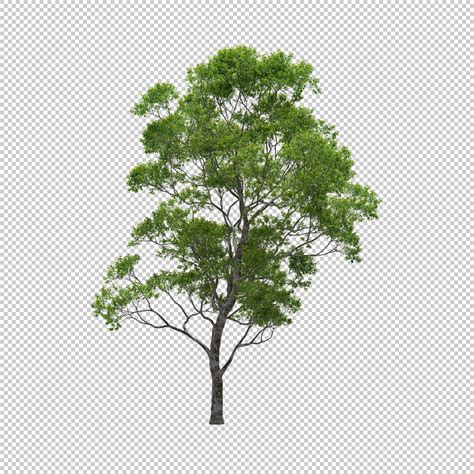 Tổng Hợp Hàng Trăm Background Tree Images đa Dạng Và Phong Phú
