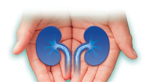 Calcoli Renali I Dieci Consigli Per Prevenirli Vanity Fair Italia
