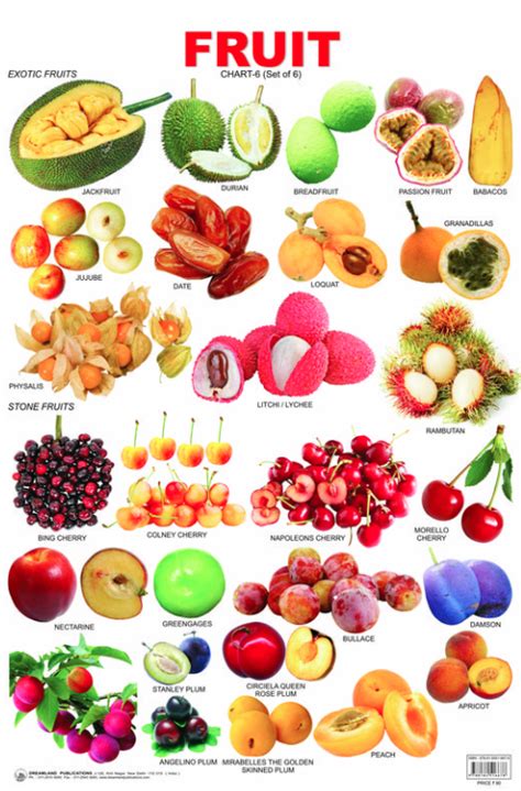 15 Dwarf Fruit Trees For Container Garden Artofit