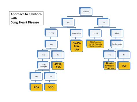 Pedi Cardiology Newborn With Congenital Heart Disease Clinical Approach